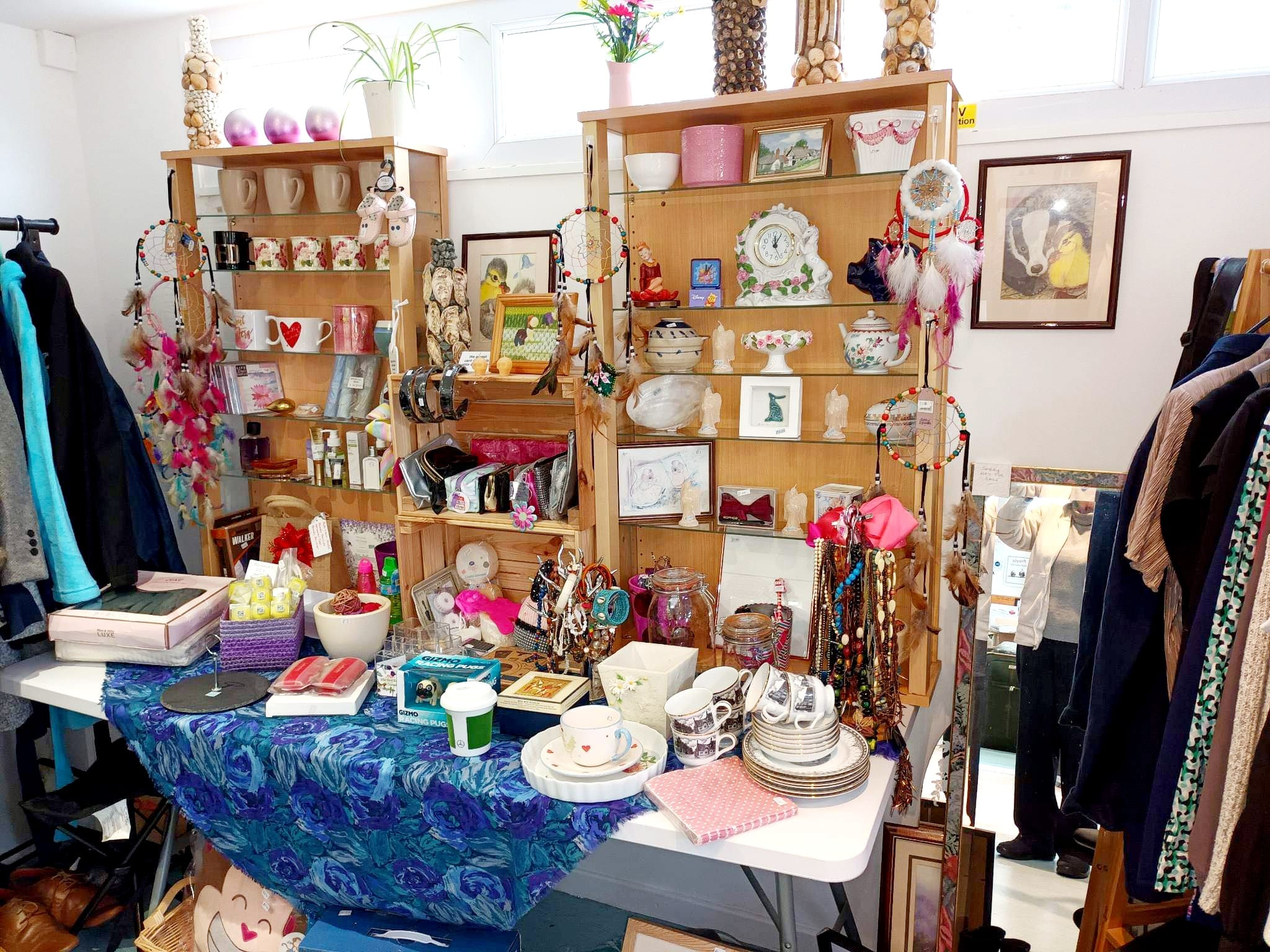 Charity Shop – Wild Bird Rescue Dorset